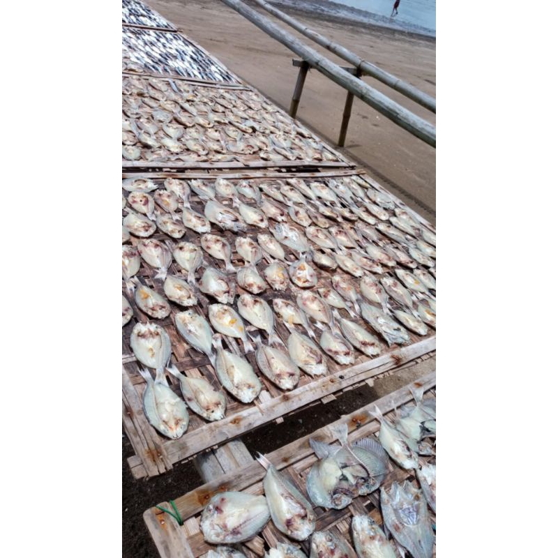 PINAKAS NGA UGA FROM ILOILO 250GRAMS | Shopee Philippines