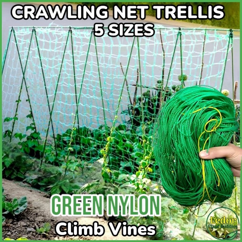Garden Crawling Net Green Nylon Trellis Netting Support Climbing Vine ...