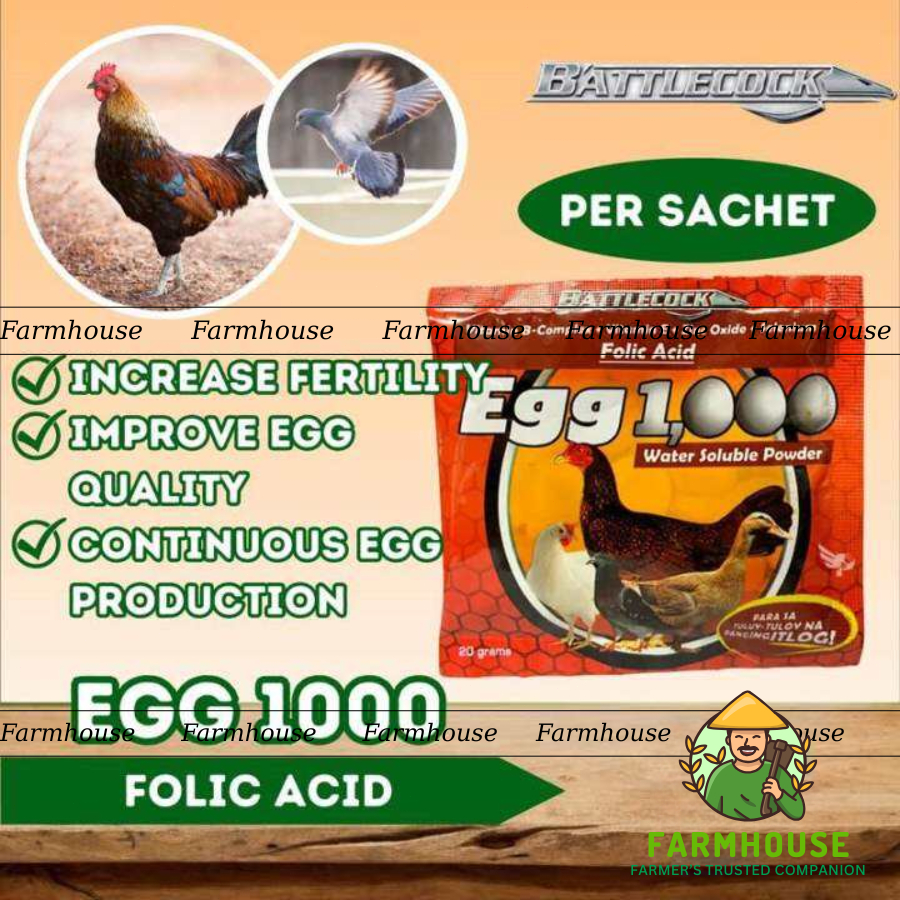Battlecock EGG 1000 - Laying Supplement for Native and Commercial ...