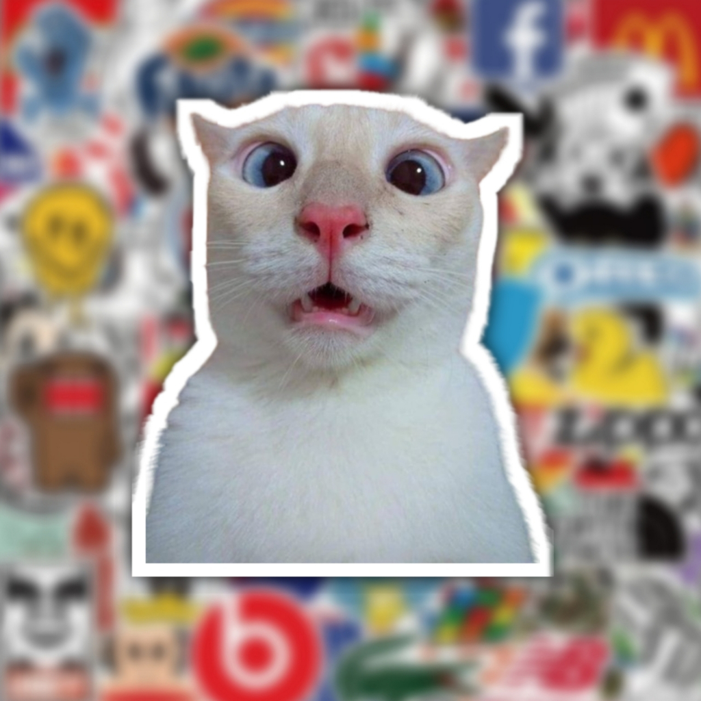 HSTKR015 50PCS HIGH QUALITY CAT MEME STICKER | Shopee Philippines