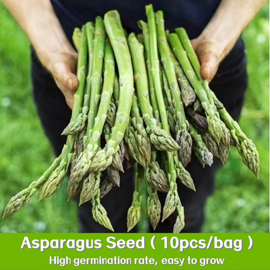 Buy Asparagus Seeds