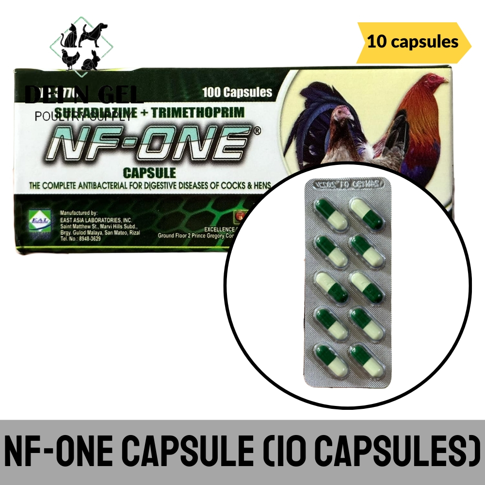 NF One for gamefowl (10 Capsules) | Shopee Philippines