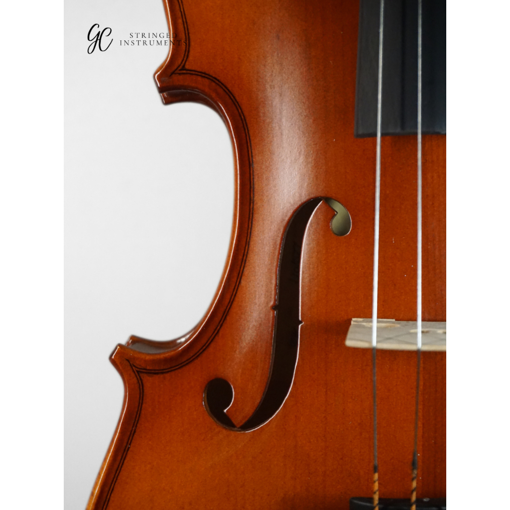 GC Model V099 Matte Brown Beginner Level 4/4 Violin in Professional Set ...