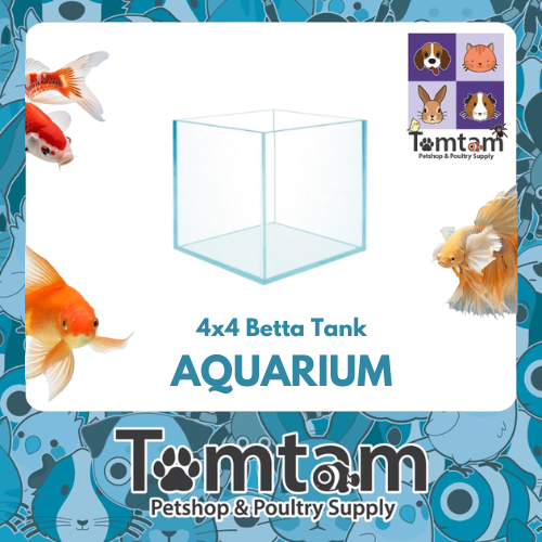 [BETTA TANK] Mini Tank Betta Fish Aquarium Enclosure Aquarium ...