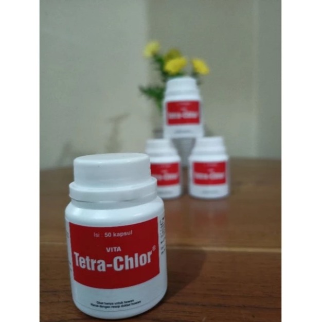 Vita Tetra chlor 50 caps | Shopee Philippines