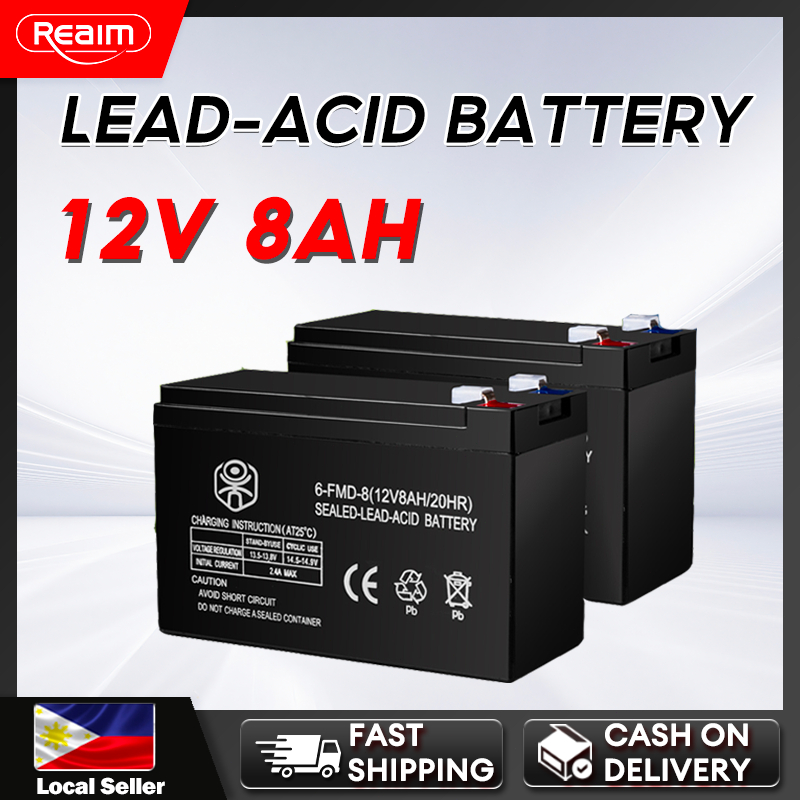 REAIM Knapsack Sprayer Battery 12v 8AH Agriculture Rechargeable ...