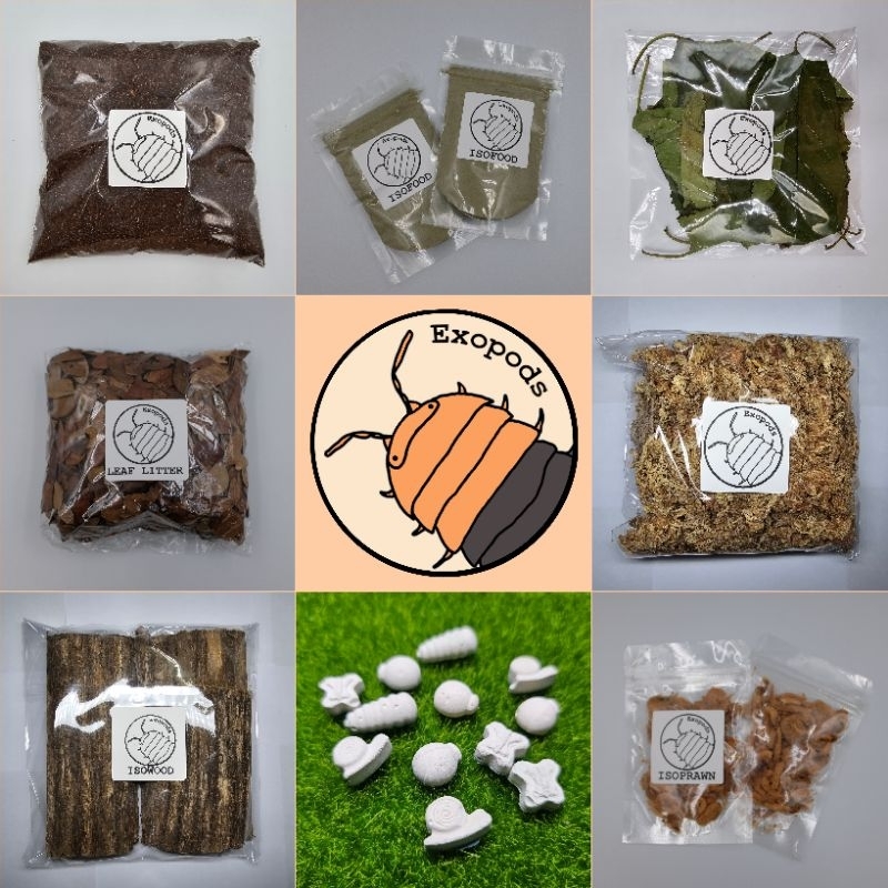Isopod Colony Starter Kit | Shopee Philippines