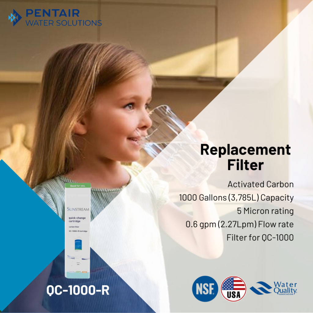 Pentair QC-1000-R Replacement Filter (NO BOX) | Shopee Philippines