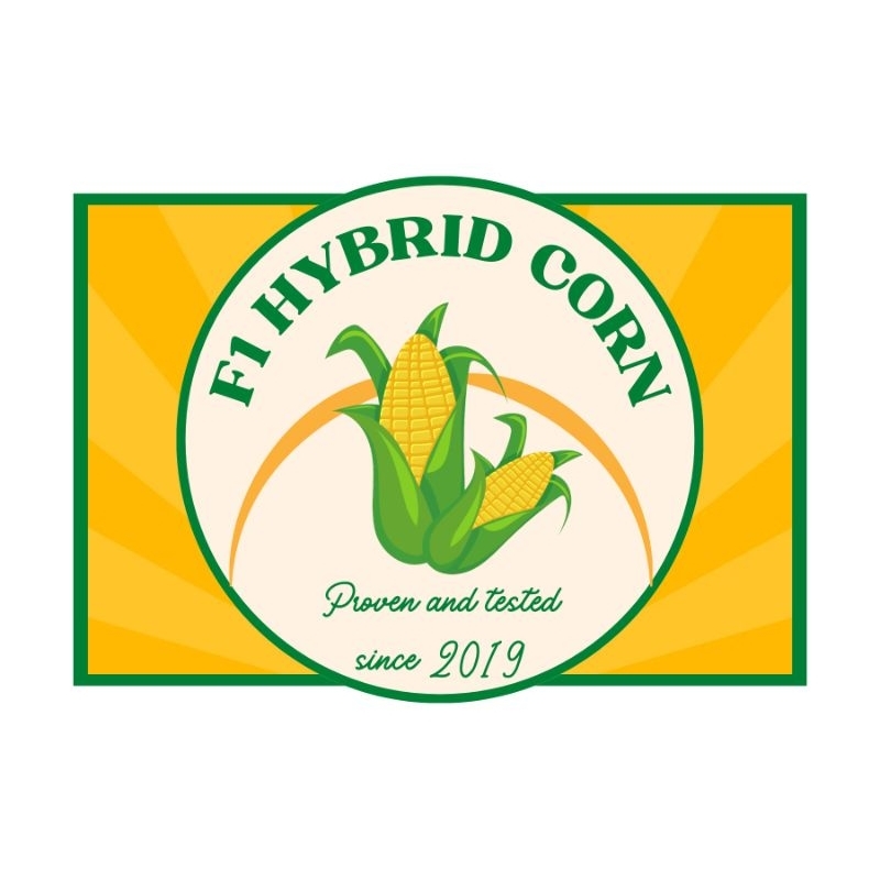 9 KILOS F1 HYBRID CORN SEEDS | Shopee Philippines