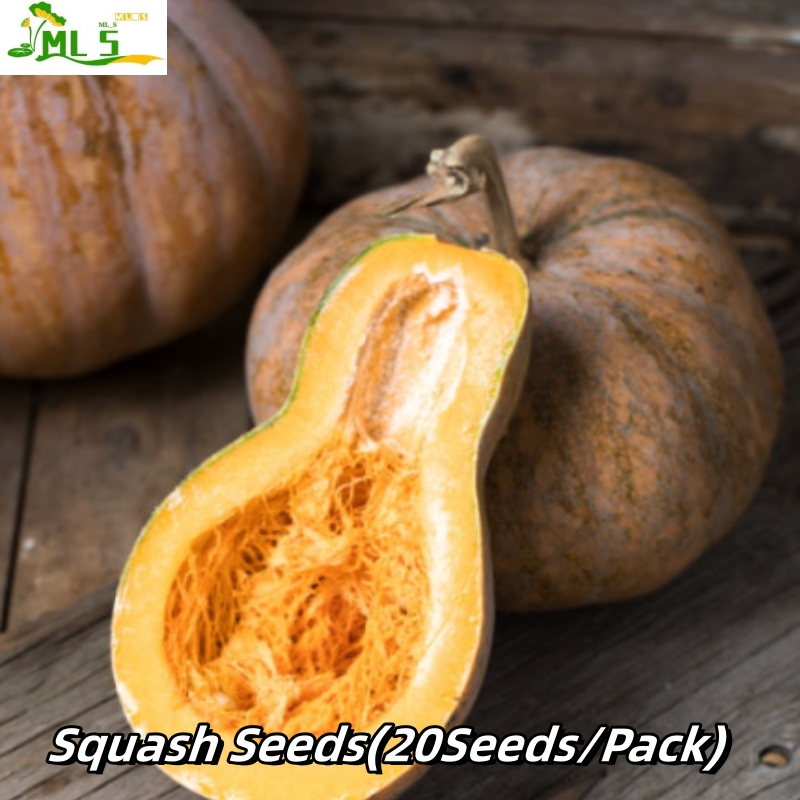 Squash Seeds(20Seeds/Pack)-High Yield Kalabasa Haba Vegetable Seeds ...