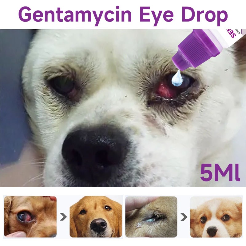 SENLOVE Pet Tingnan ang Dawei Eye Drops Eye Drops For Dog And Cat ...
