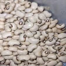 White Sitaw Seeds / Buto ng Puting Sitaw | Shopee Philippines