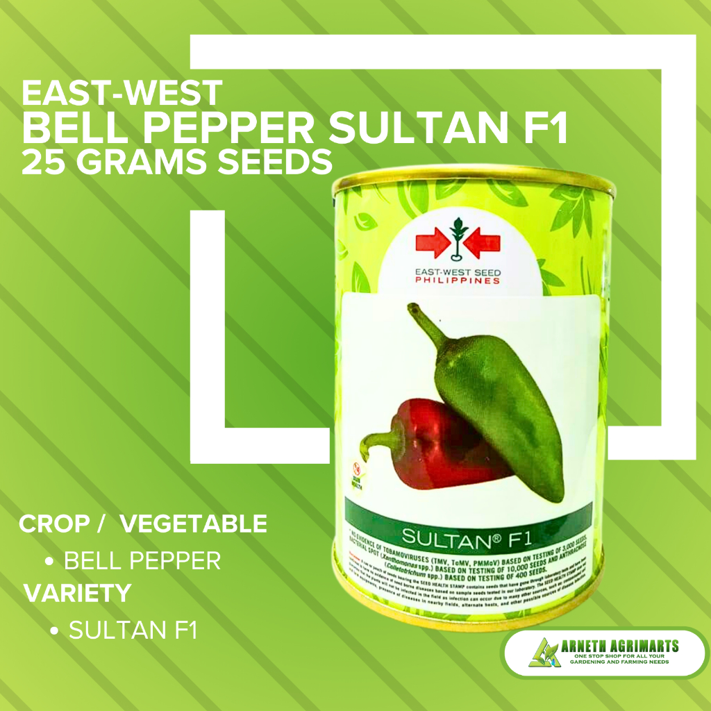 EAST WEST SEEDS SULTAN F1 VARIETY CONICAL SWEET PEPPER SEEDS (25 GRAMS ...