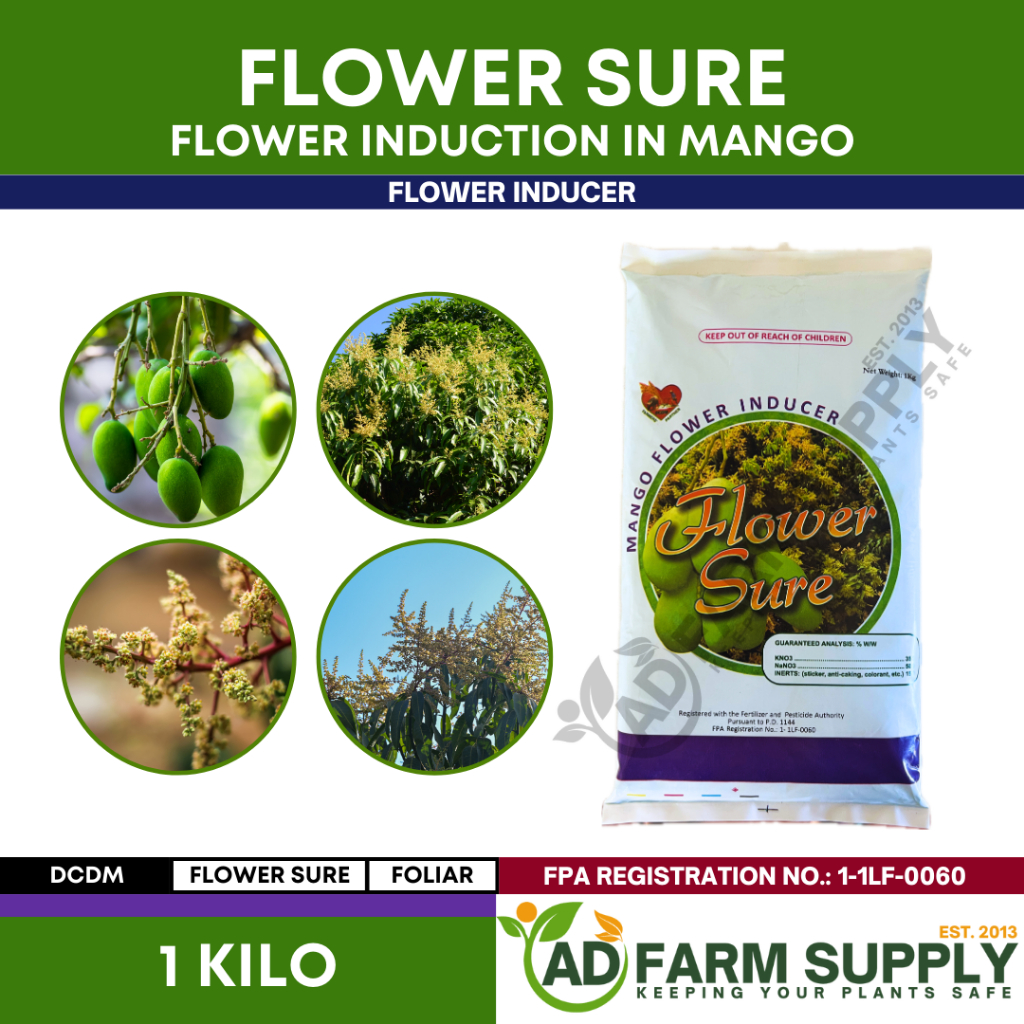 Flower Sure - Mango Flower Inducer (Like Mangotone)- Pampabulaklak sa ...