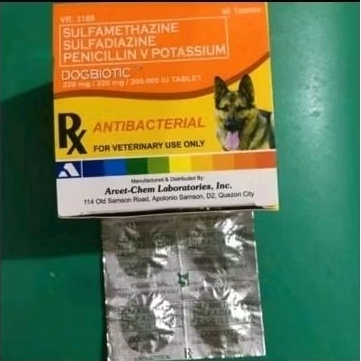 DOG BIOTIC TABLET / By ARVET ( 1 BANIG ) | Shopee Philippines