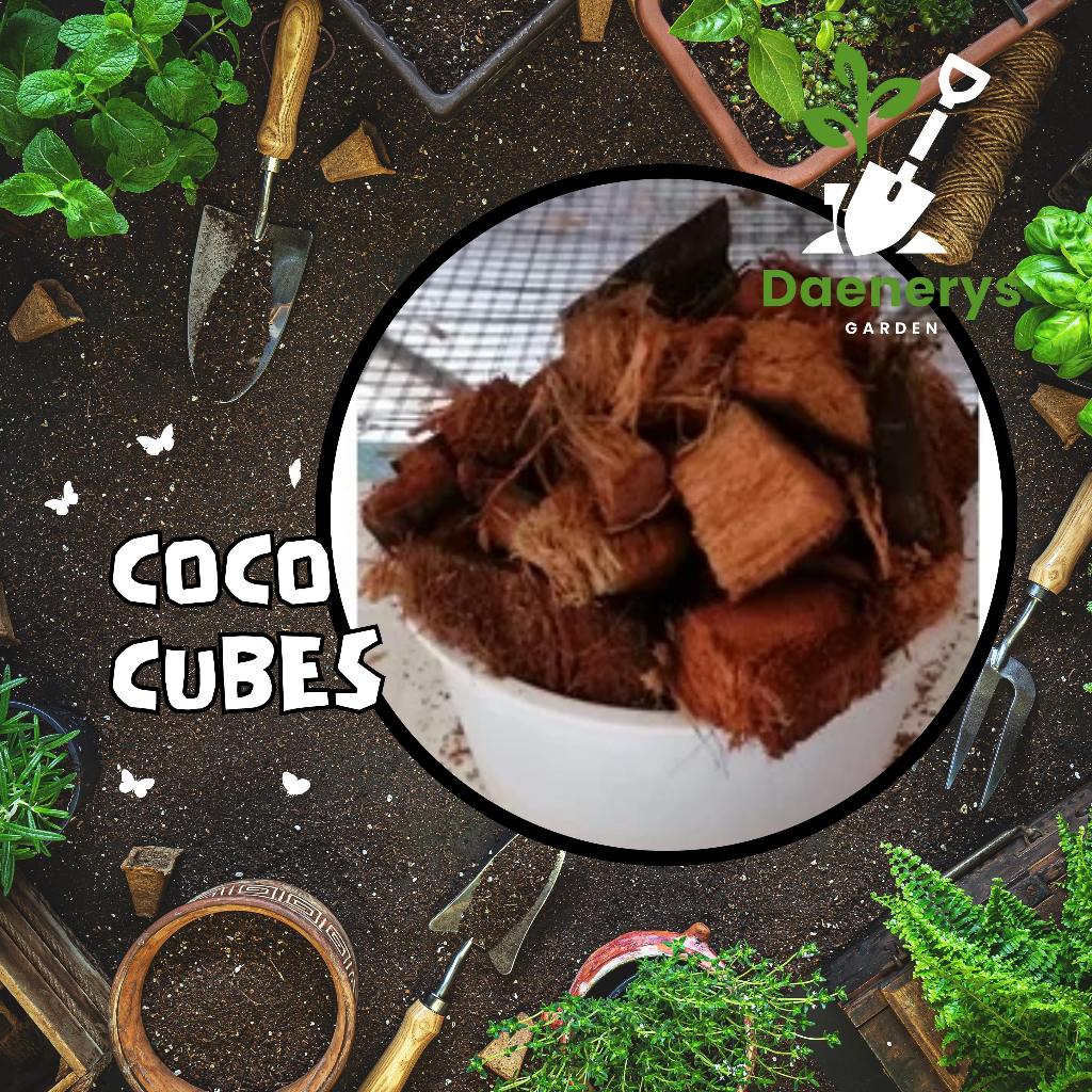 Coco Cubes for Sale (1L - 95pcs est per liter) | Shopee Philippines