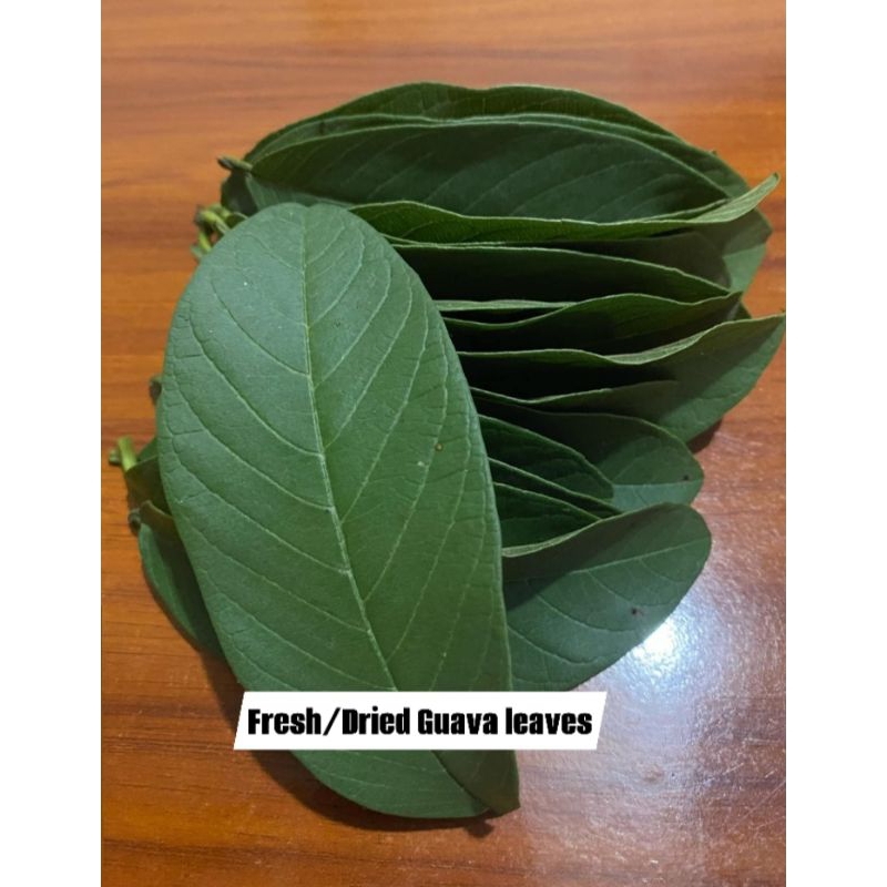 25 PCs Guava Leaves organic (Traditional and herbal drinks) | Shopee ...