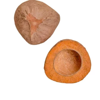 Shop bunot for Sale on Shopee Philippines