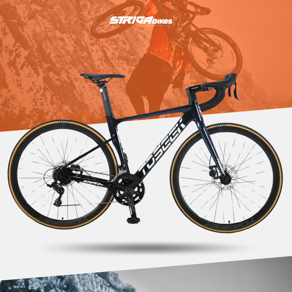 Toseek Type R V2 2025 Disc Aero Frame Road Bike | Shopee Philippines