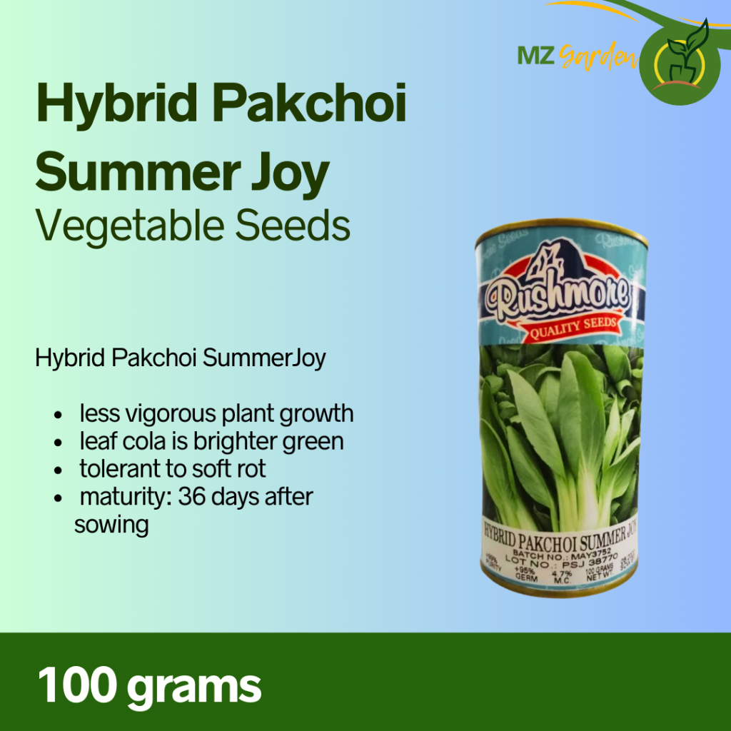 Summerjoy Hybrid Pakchoi Seeds 100 grams (Chinese pechay/Bokchoy ...
