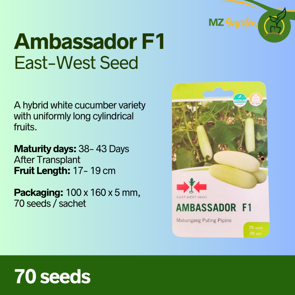 East-West Seed Ambassador F1 (Pipino/Cucumber) 70 seeds | Shopee ...