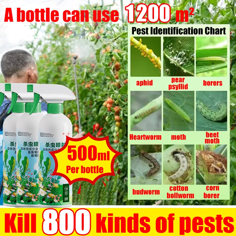 Insecticide for vegetables 500ML insecticide spray insect spray ...
