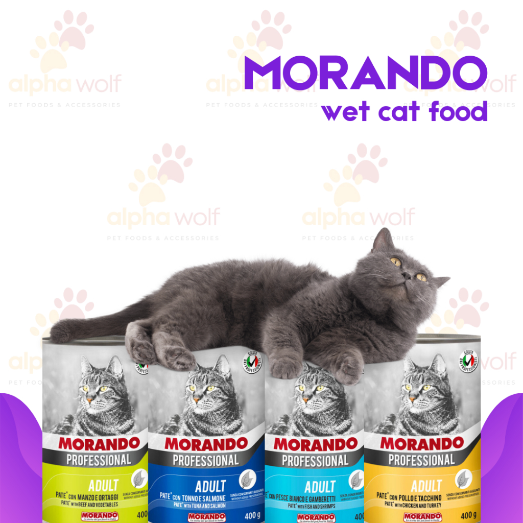 Morando Wet Cat Food Can 400g | Shopee Philippines