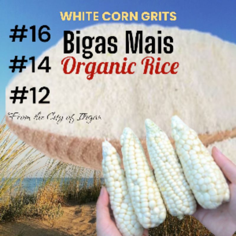 White Corn Grits 1KG,BIGAS MAIS #12,#14,#16,ORGANIC RICE | Shopee ...