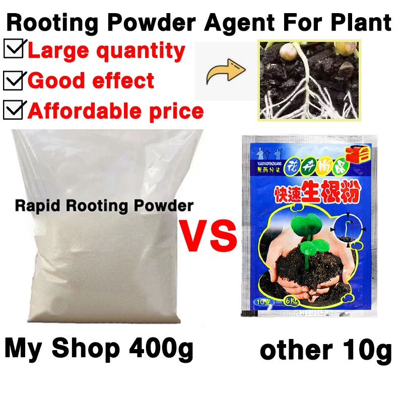 Fast-growing root medicinal hormone regulator garden rooting powder ...