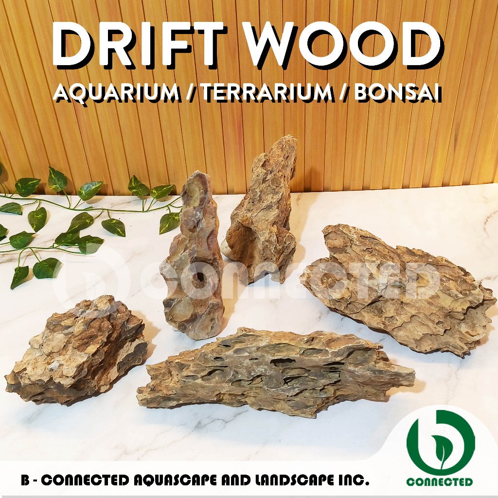 DRIFTWOOD TWEETY WOOD BY BCONNECTED - AQUARIUM FISH TANK / BONSAI ...