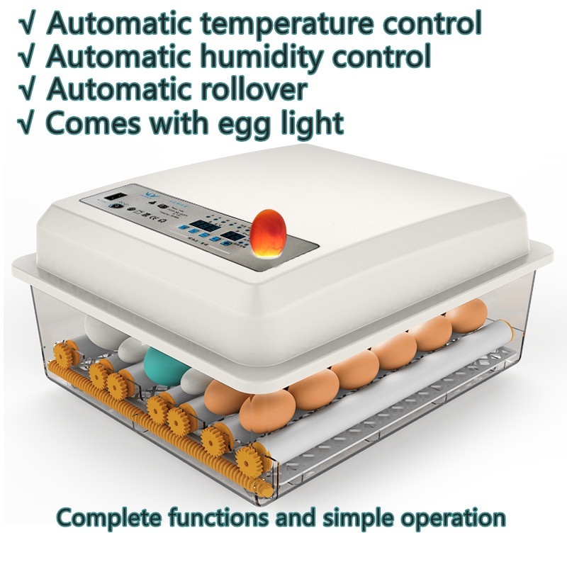 Eggs Incubator 12/16/30/36/48//56/64 Automatic Constant Temperature ...
