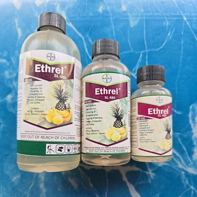 Ethrel SL 480 Ethephon pang pahinog ng prutas | Shopee Philippines