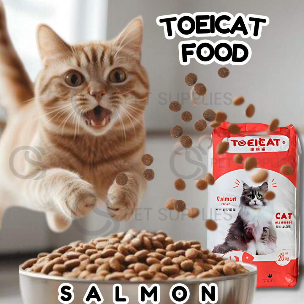 LA PETITE Toei Cat Food Repack - 1kg of Delicious Salmon - Flavored Dry ...