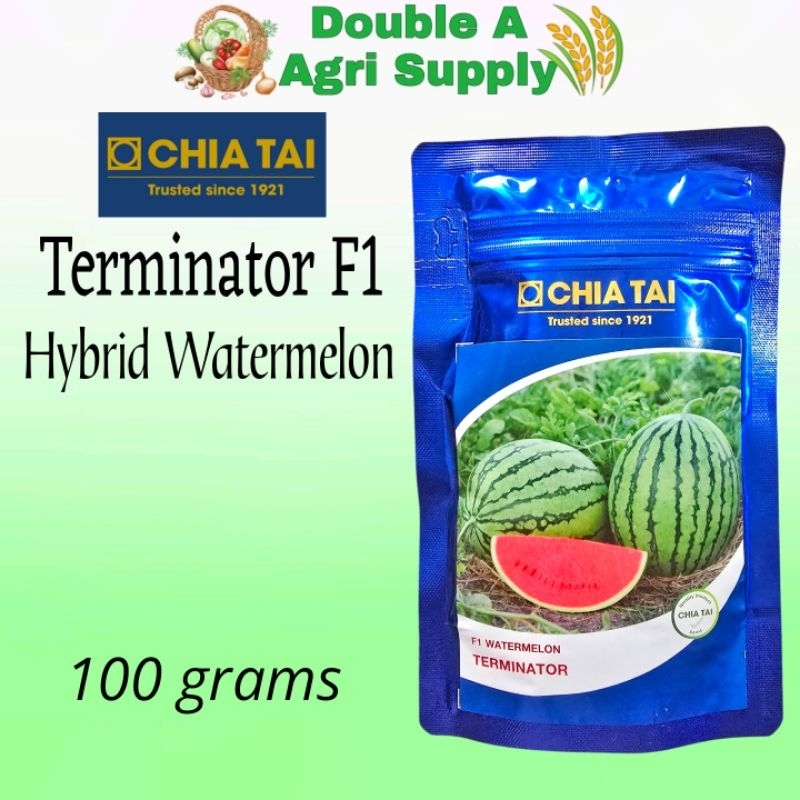 Terminator F1 Hybrid Watermelon 100 grams - Chia Tai Seeds | Shopee ...