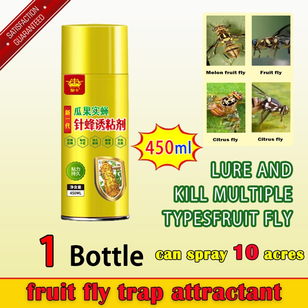 MS Fruit fly trap attractant spray insect trap spray adhesive add ...