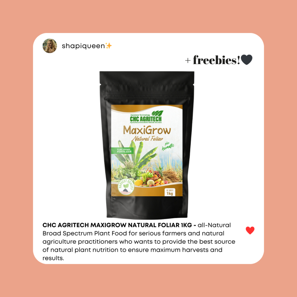 Japanese Technology CHC Agritech MaxiGrow Natural Foliar 1kg (1 PACK ...