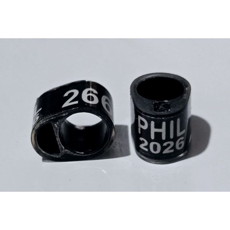 1pcs for 25pesos Comring PHIL Oval 2026 with inner ring / without inner ...