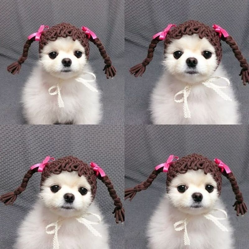 Customized Crochet Wig for dog | Shopee Philippines