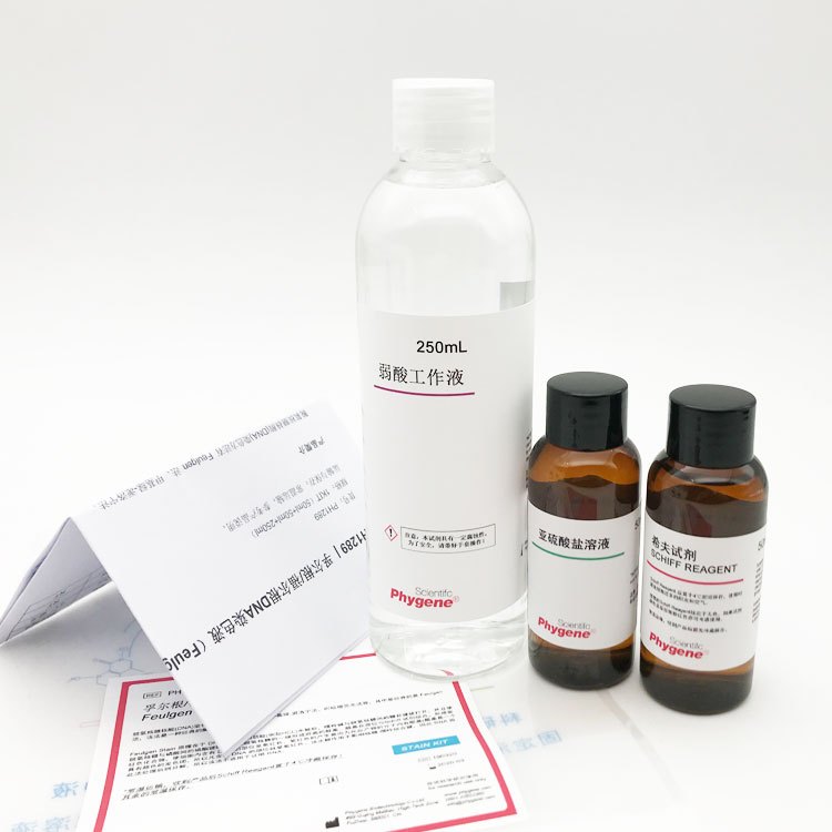 Feulgen DNA staining solution Nucleic acid staining Feulgen Stain 1KIT ...