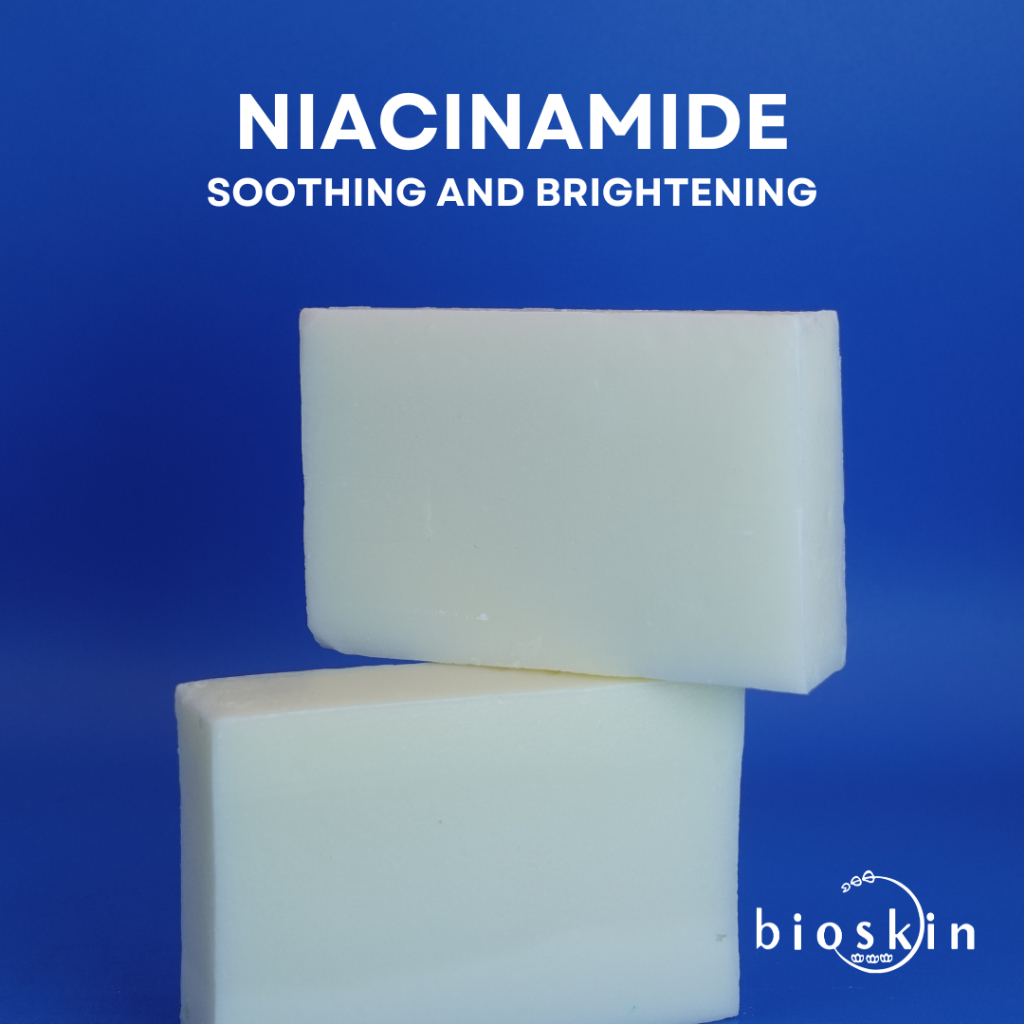 Bioskin | Niacinamide Soap 135g | Shopee Philippines