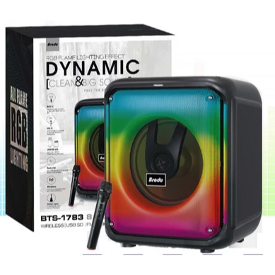 Brodu BTS 1740 Bluetooth karaoke speaker with Free 2 Microphone and ...