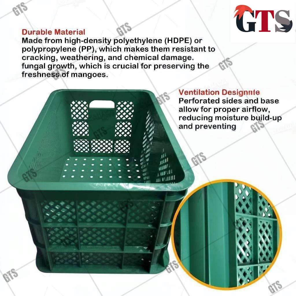GTS MANGO CRATES FOR MULTI PURPOSES HARVEST FRUITS,VEGETABLE(Factory ...