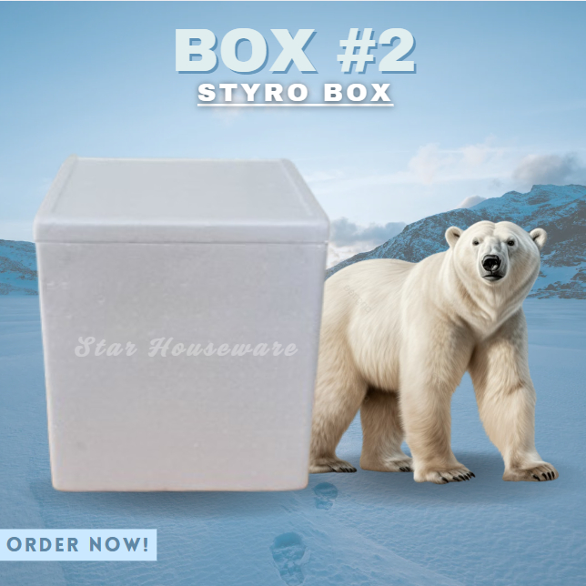 (BIG BOX) STYROBOX / STYRO BOX / PICNIC BOX ICE CHEST / ICE BOX ...