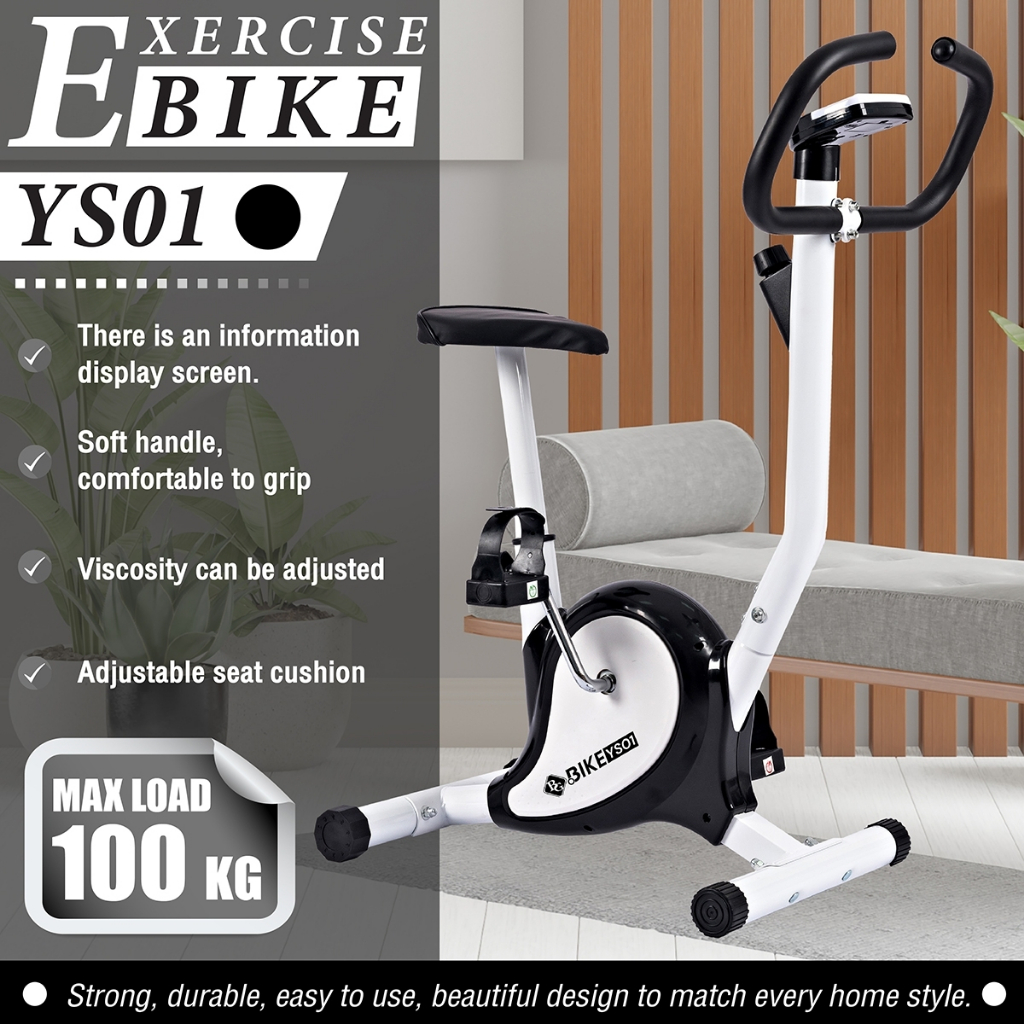 BG SPORT Indoor/Outdoor Upright Stationary Exercise Bike Household ...