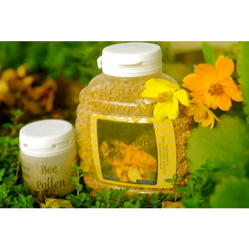 Ilog Maria Bee Pollen 30g | Shopee Philippines