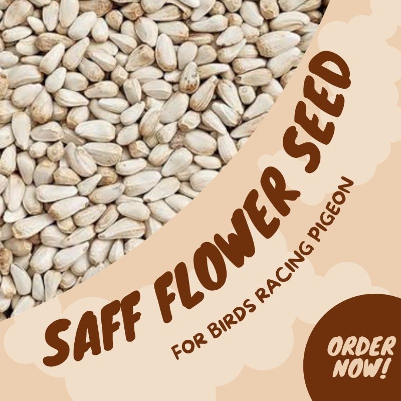 SAFF FLOWER SEED FOR PIGEON 1kg. | Shopee Philippines