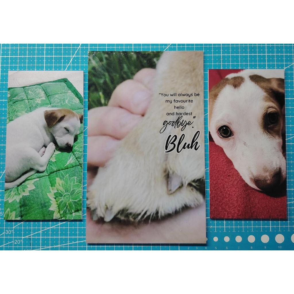 Personalized Sintra Wall Frame | Shopee Philippines