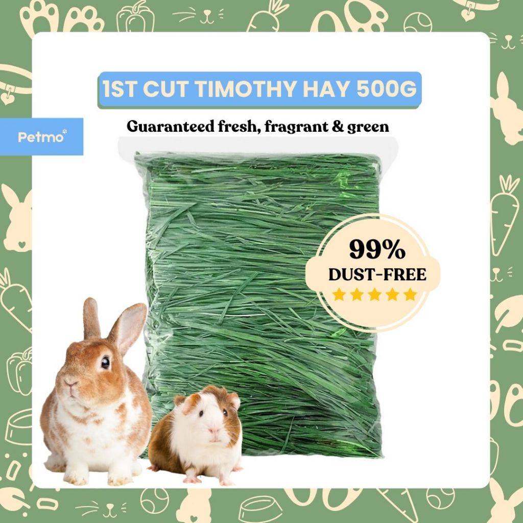 Premium Timothy Hay First 1st Cut 500g Rabbit Guinea Pig Chinchilla ...