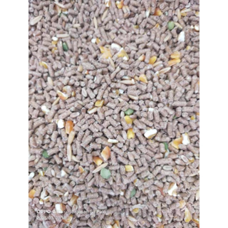 Shop chicken feeds for Sale on Shopee Philippines