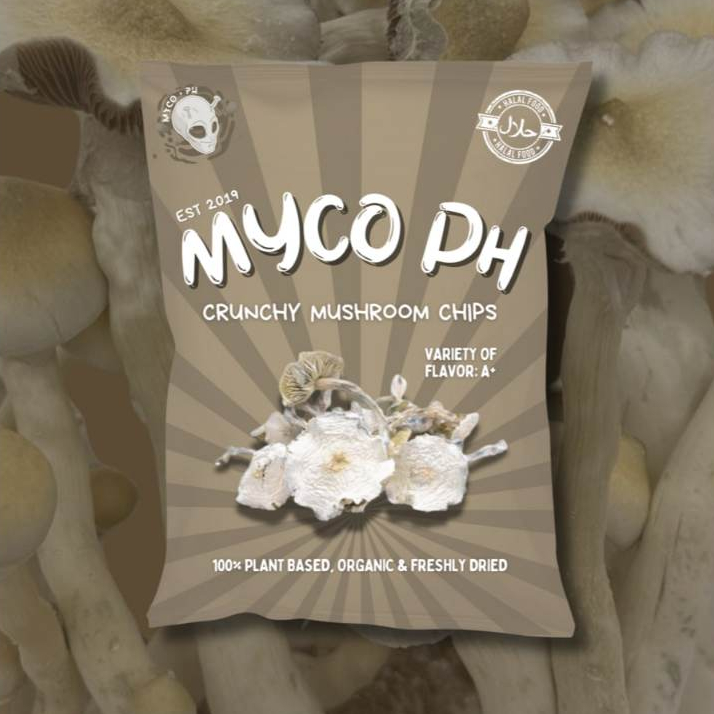 Myco PH (A+) Cubes Mushroom Crunchy Chips Goomba | Shopee Philippines
